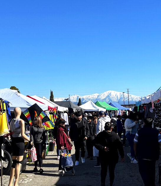 unbeatable california market deals ftr