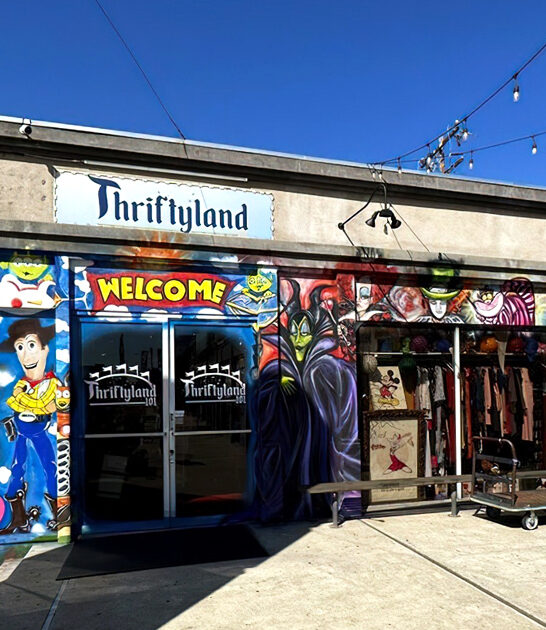 underrated california secondhand shop ftr