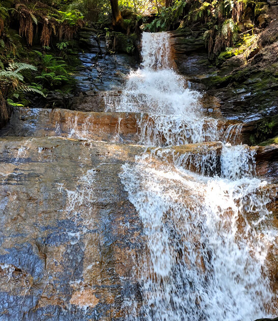 undiscovered state park california ftr
