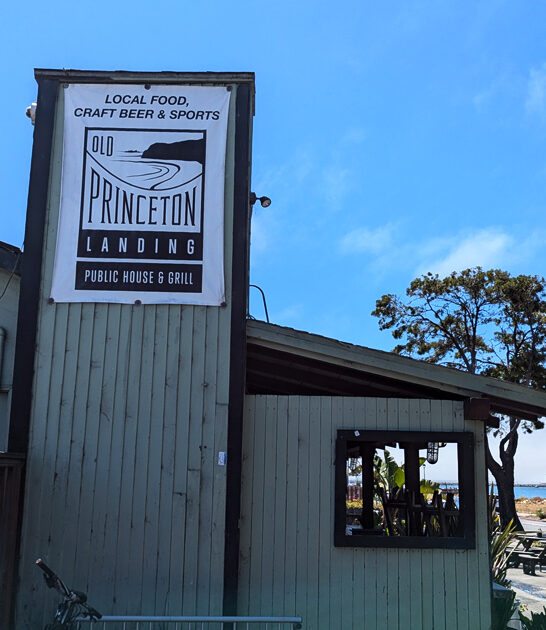 unfussy california french fries ftr