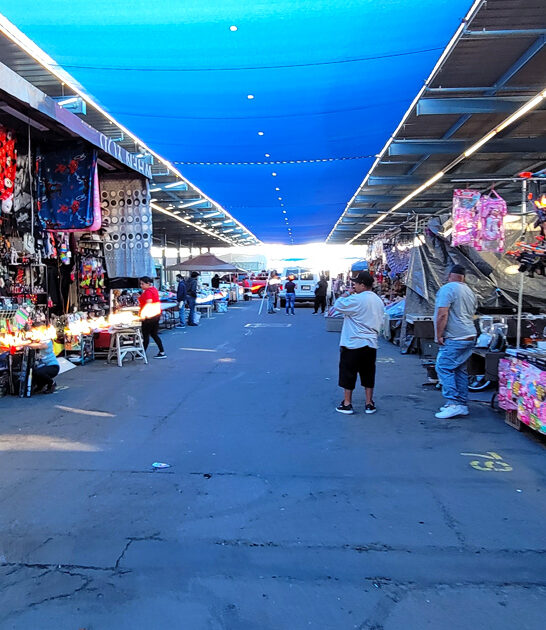 unique treasures arizona market ftr