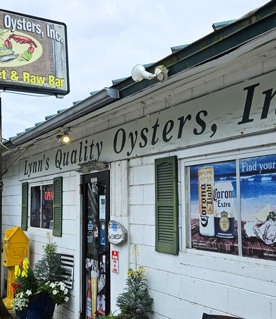 unpretentious restaurant florida seafood ftr