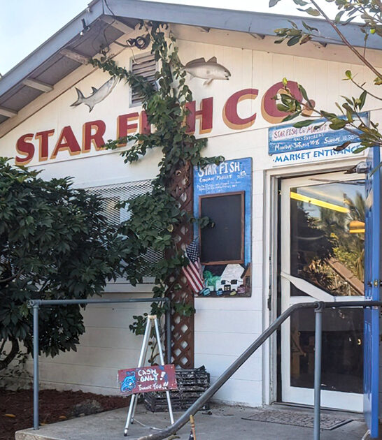 unpretentious seafood spot florida ftr