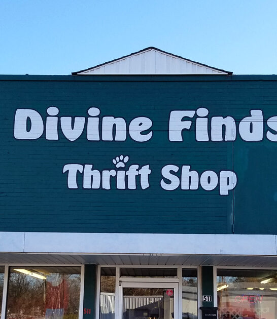 unreal shops north carolina ftr