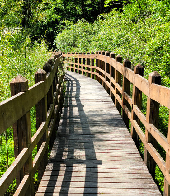 unreal state park missouri ftr