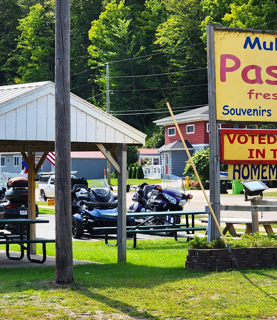 veggie pasty michigan restaurant ftr
