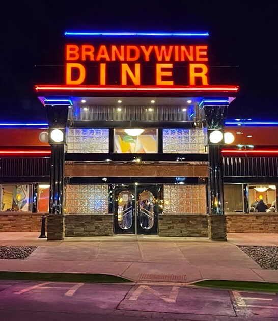 vintage delaware diner flavors ftr