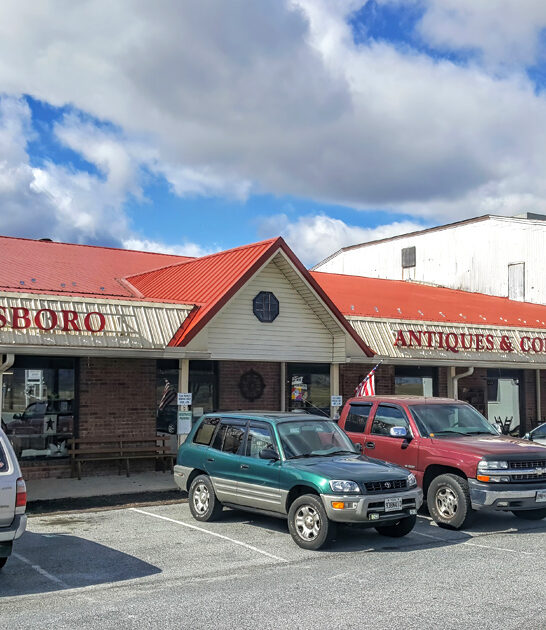 vintage hunting paradise maryland ftr