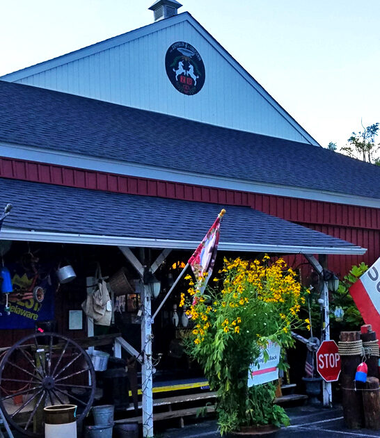 vintage store deals delaware ftr