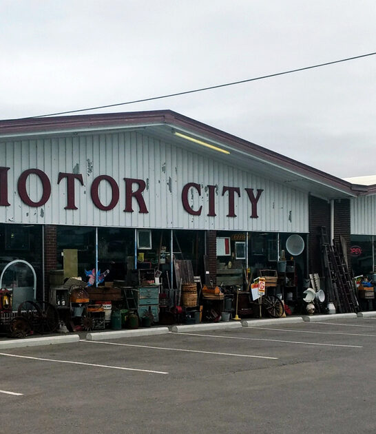 vintage treasure wonderland michigan ftr