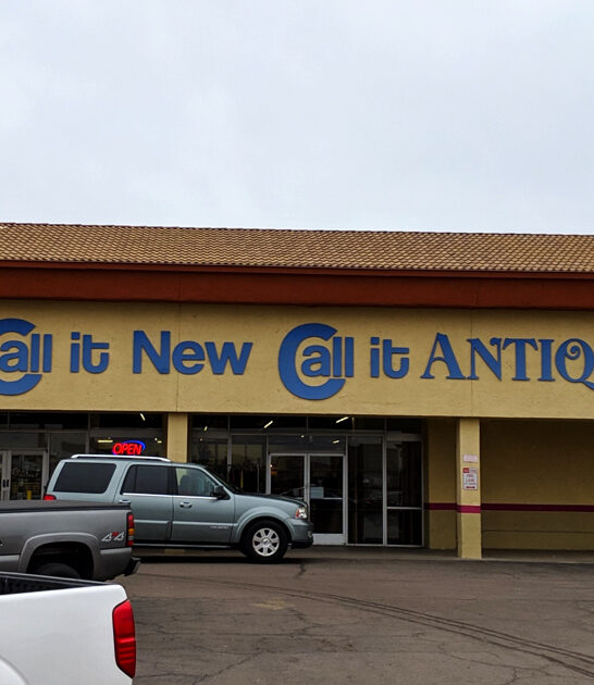 vintage wonderland store arizona ftr