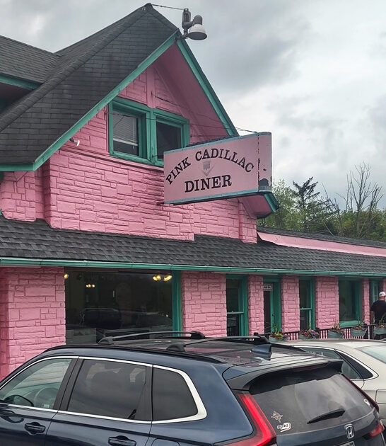 virginia diner ice cream ftr