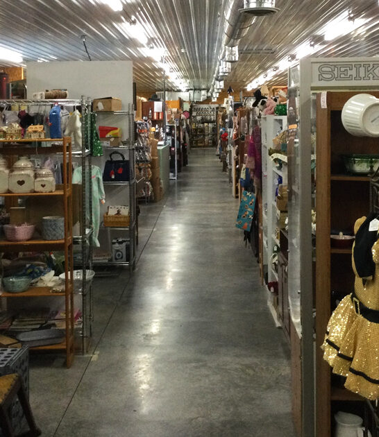 virginia treasures gigantic market ftr