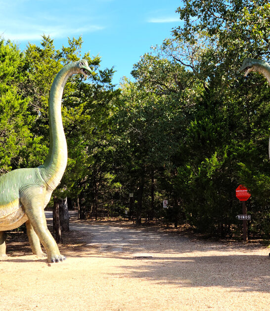 whimsical dinosaur park texas ftr