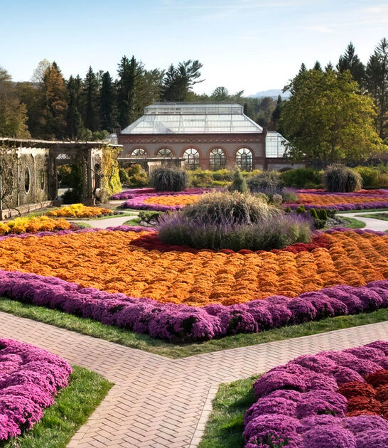 whimsical garden north carolina ftr