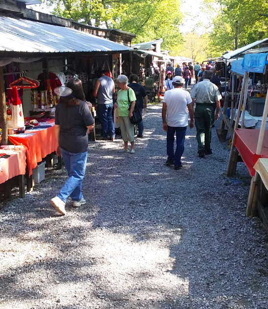 whole cart market tennessee ftr