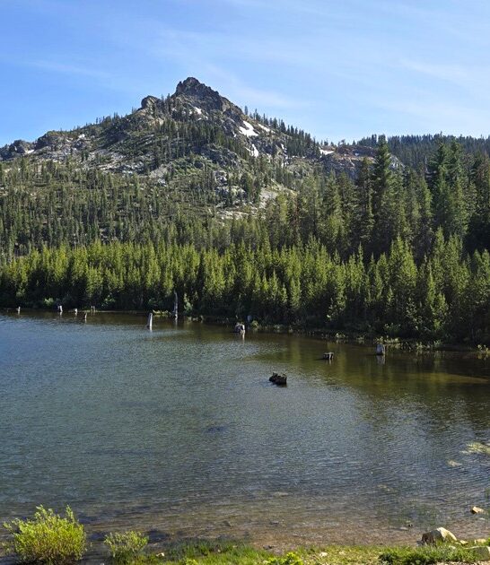 wide serene park california ftr