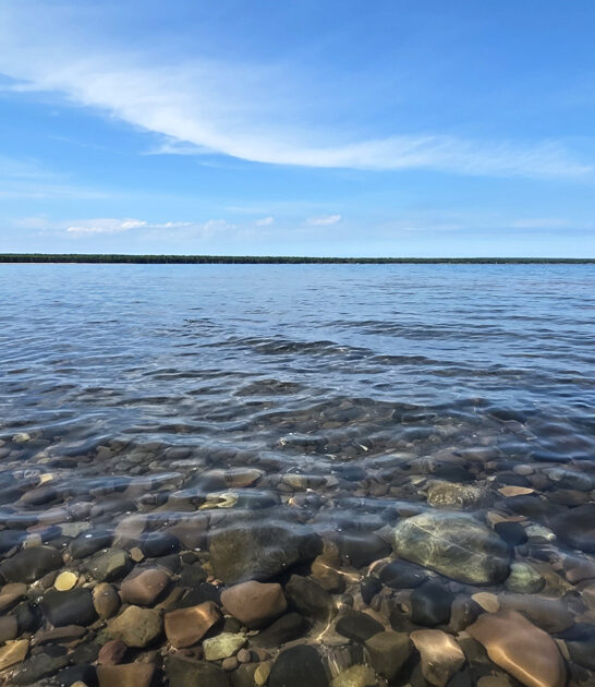 wisconsin dream nature lovers ftr