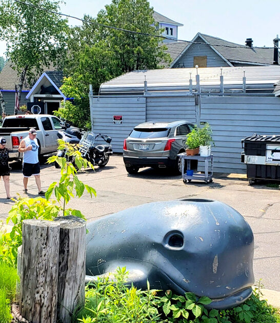 wisconsin fish sandwich diner ftr