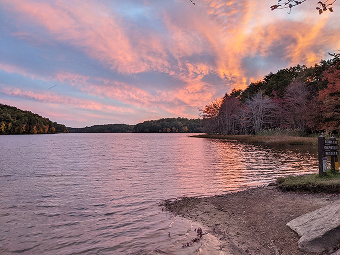 Nature's own light show transforms Fall Creek Falls Lake at sunset, painting the sky in cotton candy hues that reflect perfectly on the glassy water.