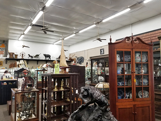 A treasure hunter's paradise where vintage cabinets stand guard over collections of crystal, porcelain, and that mysterious raccoon sculpture you didn't know you needed.