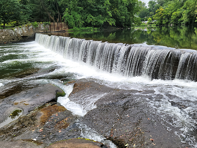 Nature's perfect soundtrack: the hypnotic cascade of water at Alapocas Run's dam creates a peaceful retreat just minutes from downtown Wilmington.
