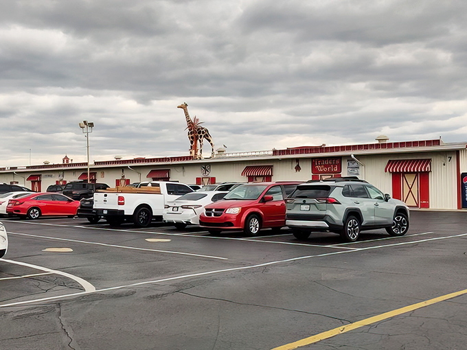 The iconic red-trimmed buildings of Traders World stand ready for treasure hunters, complete with that whimsical metal giraffe surveying the parking lot.