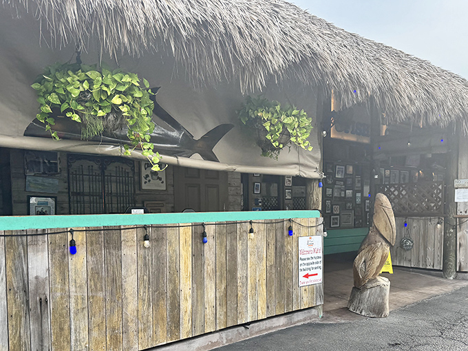 Weathered wood, turquoise accents, and that signature shark silhouette &ndash; Walt's exterior is coastal Florida in architectural form.