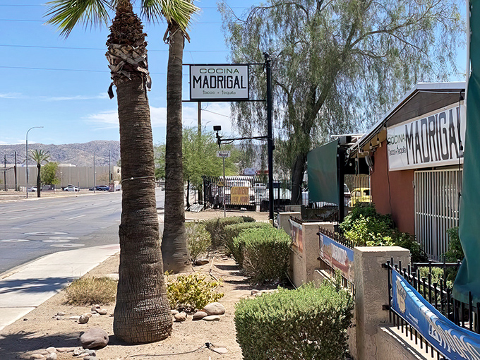 Palm trees stand sentinel outside Cocina Madrigal, nature's way of saying "exceptional Mexican food ahead!" The unassuming exterior hides culinary treasures within.
