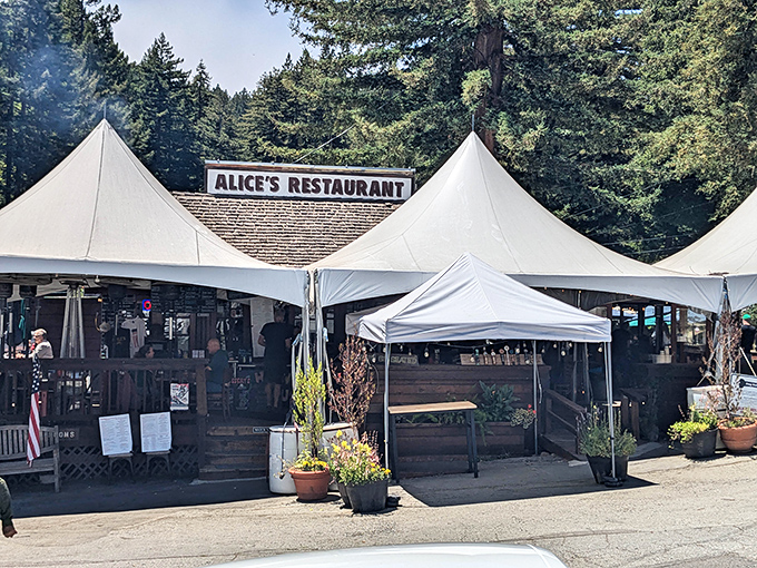 Nestled among towering redwoods, Alice's Restaurant looks like the cozy mountain cabin you've always dreamed of finding on a scenic drive.