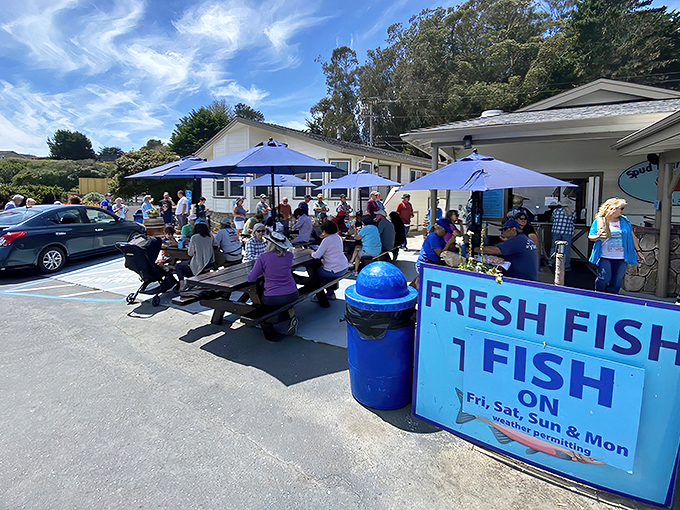 Blue umbrellas dot the patio like California's answer to the Mediterranean, except here the treasure isn't the view&mdash;it's what's on your plate.