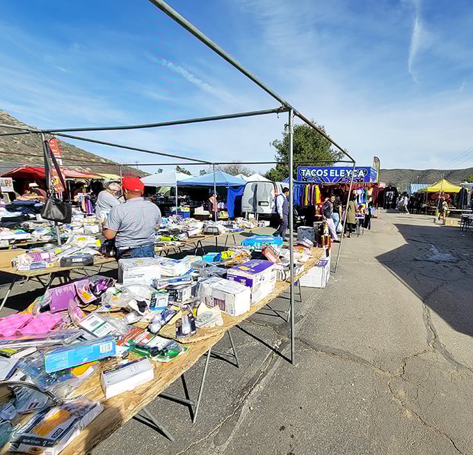 Blue skies and bargains stretch as far as the eye can see. Winchester's treasure hunters navigate this asphalt wonderland like seasoned explorers.
