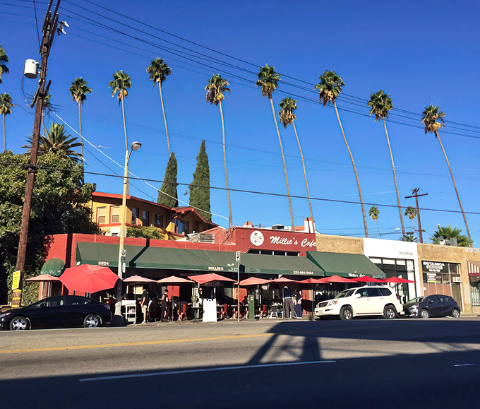 Sunset Boulevard's most photogenic stretch, where palm trees stand at attention like nature's own welcoming committee.