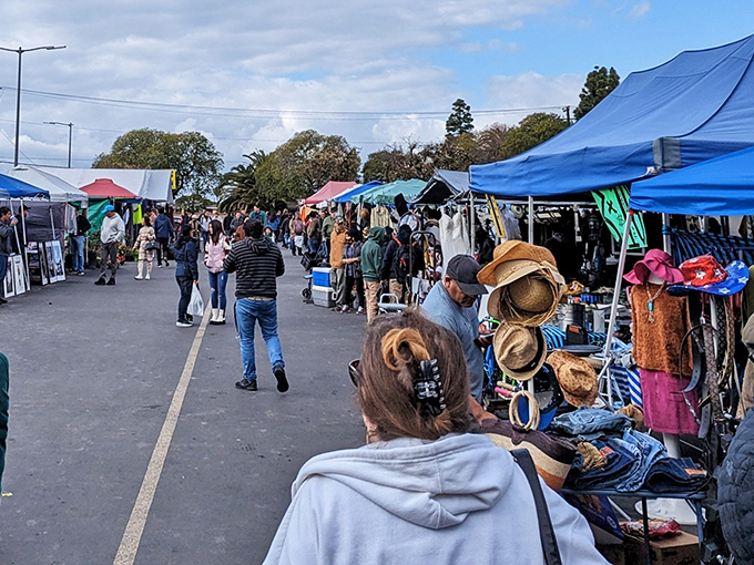 1. people drive from all over california for the insane prices at this enormous swap meet