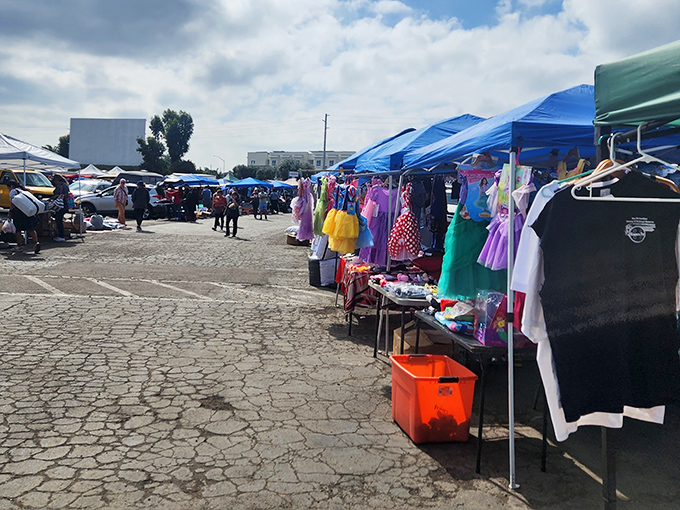 The iconic drive-in screen looms like a sentinel over this treasure hunter's paradise, where one person's castoffs become another's prized discoveries.