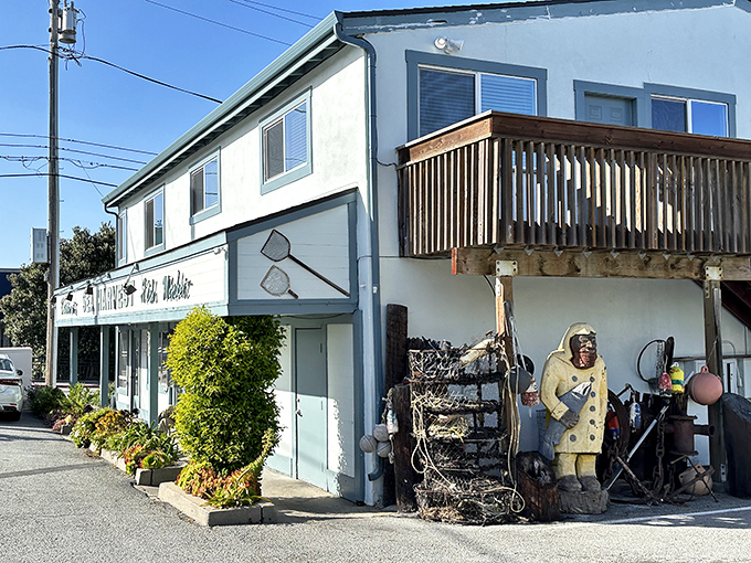 There it sits, unassuming as a neighbor's garage, hiding treasures that would make mermaids jealous.