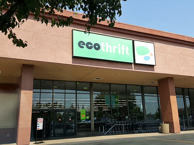 Welcome to thrifting paradise &ndash; where your wallet can finally relax and enjoy the ride.