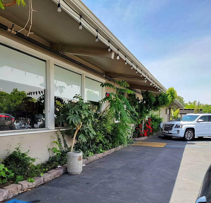The unassuming exterior of Longhouse Restaurant proves once again that culinary treasures often hide in plain sight, string lights adding a touch of warmth.