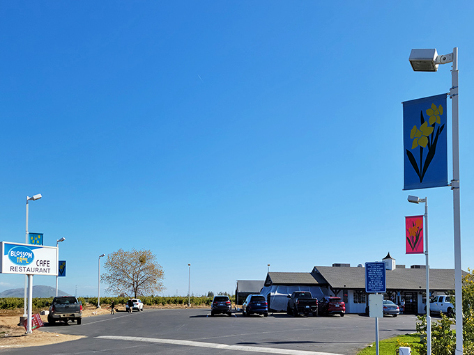 The cheerful blue sign welcomes hungry travelers like a beacon of breakfast hope along the rural highway. California sunshine included at no extra charge!