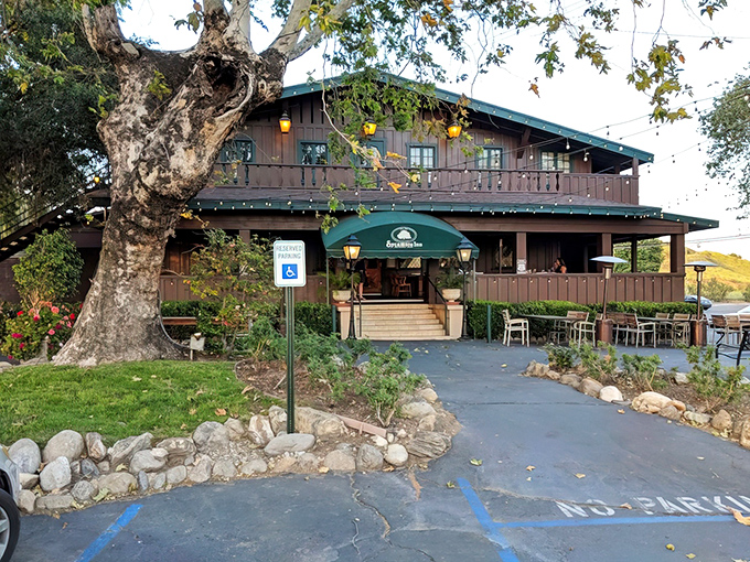 Nestled beneath ancient sycamore trees, this legendary steakhouse has the kind of curb appeal that whispers, "Your diet plan ends here."