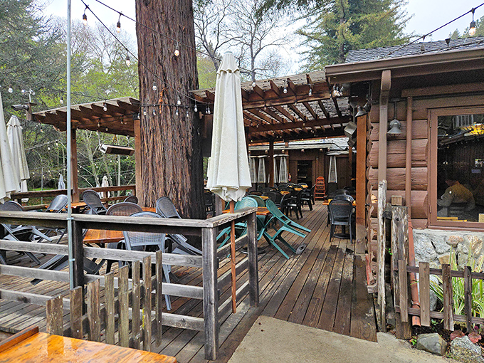 The outdoor deck at Big Sur River Inn embraces nature so completely that redwoods grow right through it. Dining among giants never felt so right.