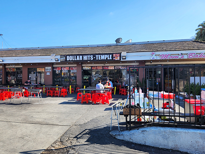 The unassuming storefront of Dollar Hits with its bright red plastic chairs might not scream "culinary destination," but your taste buds are about to have their minds blown.