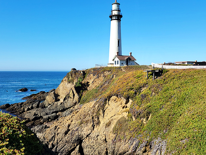 Mother Nature showing off with her perfect backdrop game &ndash; wildflowers, dramatic cliffs, and a lighthouse that practically begs you to start writing sea poetry.