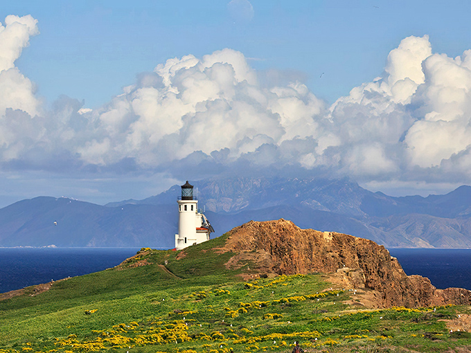 The 40-foot sentinel stands tall against the blue sky, its cylindrical white tower a reassuring presence that's guided mariners since 1932.