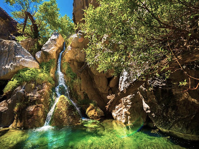 The emerald pool at Darwin Falls looks Photoshopped against Death Valley's palette&mdash;Mother Nature showing off her range like Meryl Streep.