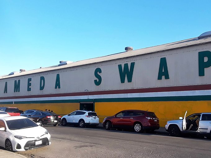 Welcome to organized chaos, where every parking space transforms into someone's personal boutique and dreams come true.