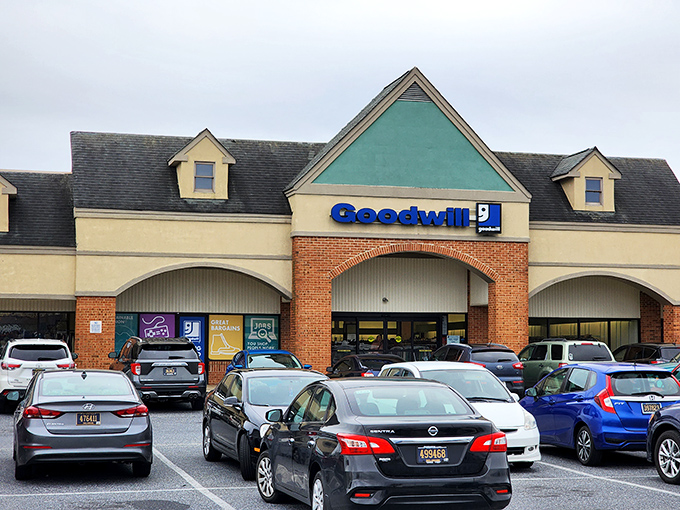 The brick-and-teal facade of Goodwill Bear might look unassuming, but inside awaits Delaware's ultimate treasure-hunting playground.