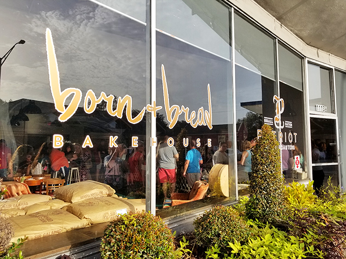 The golden logo beckons like a lighthouse for carb enthusiasts. Behind those windows, pastry dreams come true in Lakeland.
