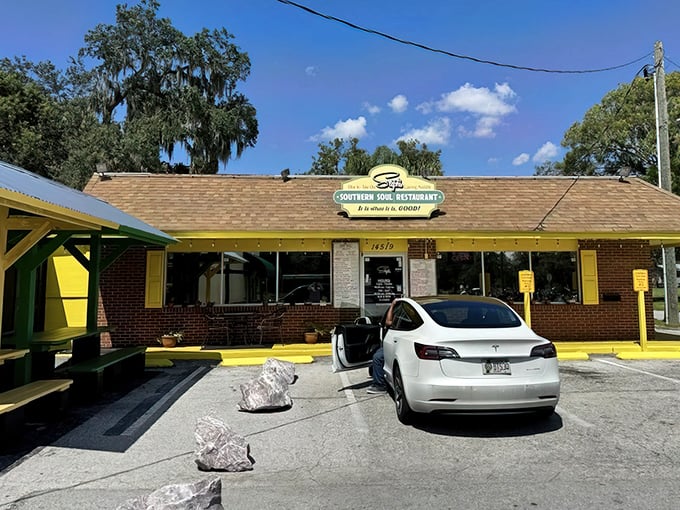 A humble brick building with a sunny disposition, Steph's stands like a beacon of comfort food hope in Dade City. No fancy frills needed when the food speaks this loudly.