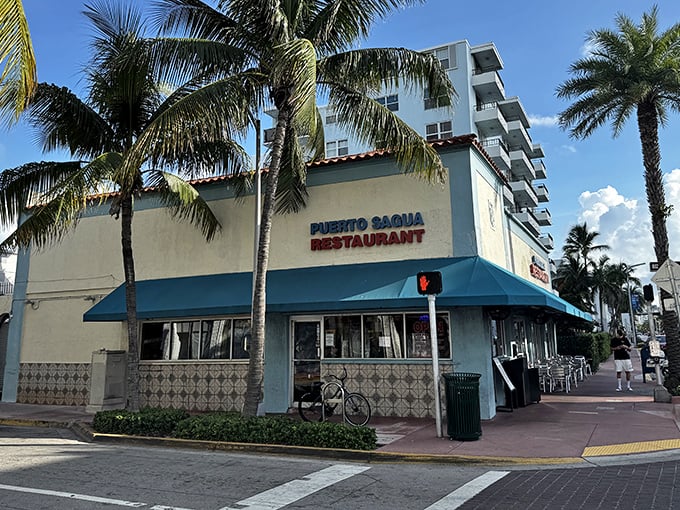 The unassuming exterior hides decades of Cuban culinary magic, complete with palm trees standing guard like delicious sentinels.